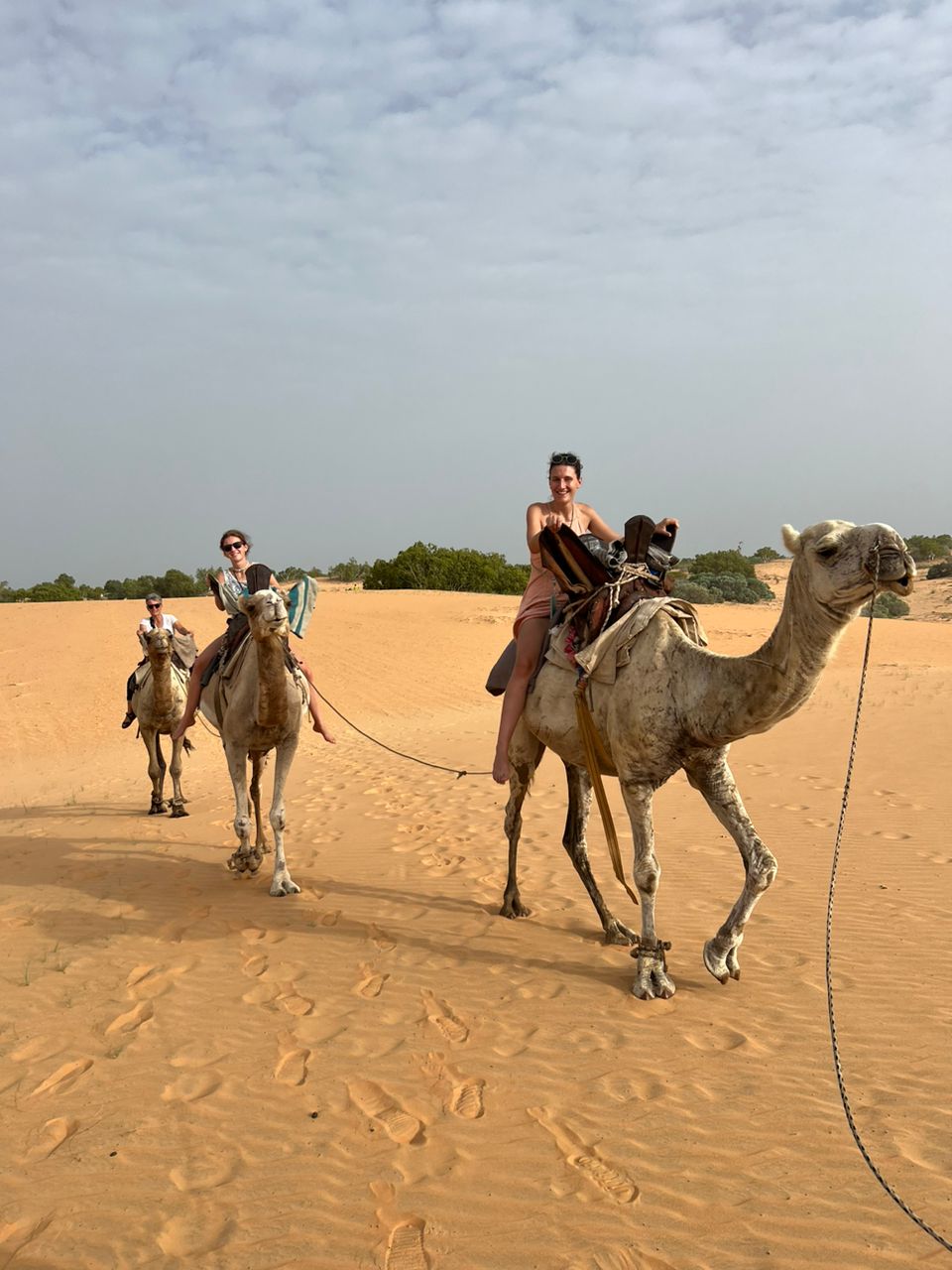 Excursion Lompoul Desert - Senegal for Travellers